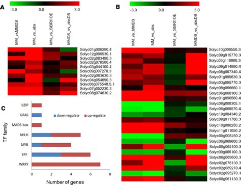 A Heatmap Heat Map Was Constructed Based On Log Transformed FPKM Download Scientific Diagram