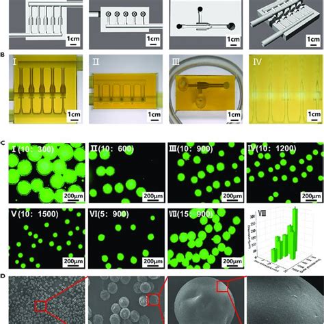 Characterization Of The Microfluidic Chip And Microspheres A