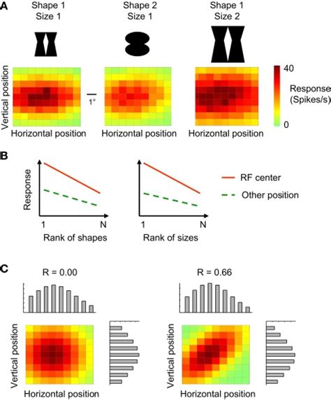 Tuning Properties Of Single Neurons And Definitions Of Invariance A