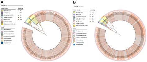 Comparative Analysis Of Codon Usage Patterns And Host Adaptation In Merbecoviruses