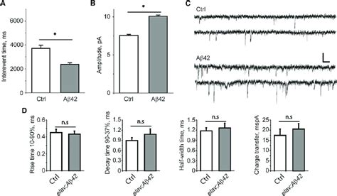 Spontaneous Synaptic Activity In Primary Neurons At 5 Div Is Enhanced