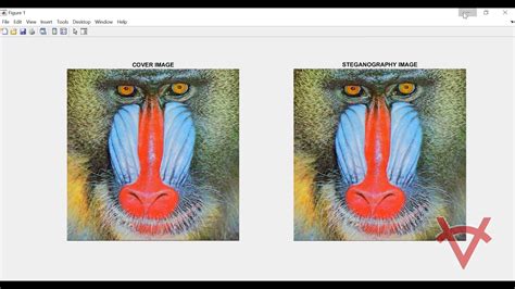 Rsa Algorithm And Hash Lsb Technique For Image Steganography Youtube