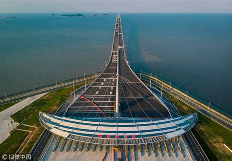 Under The Angsana Tree The Hong Kong Zhuhai Macau Bridge