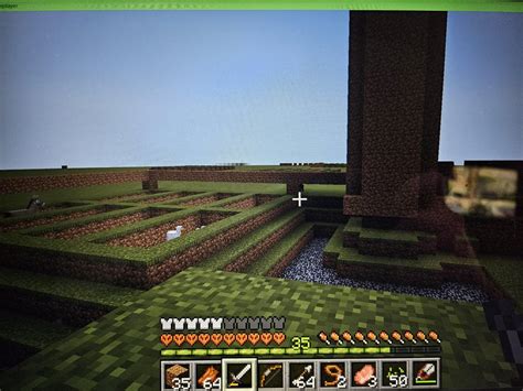 Minecraft Superflat No Structures No Bonus Chest Hardcore Rminecraft