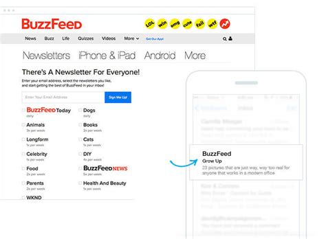 Your Guide To Avoiding Spam Filters And Improving Deliverability Campaign Monitor
