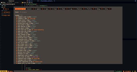 090 Just Updated My Config To Use Lazy Rneovim
