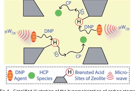 Figure 1 From Surface Enhanced Dynamic Nuclear Polarization Solid State Nmr Spectroscopy Sheds