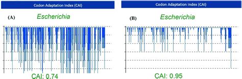 The Value Of Codon Adaptation Index Cai By Genescript Before And Download Scientific Diagram
