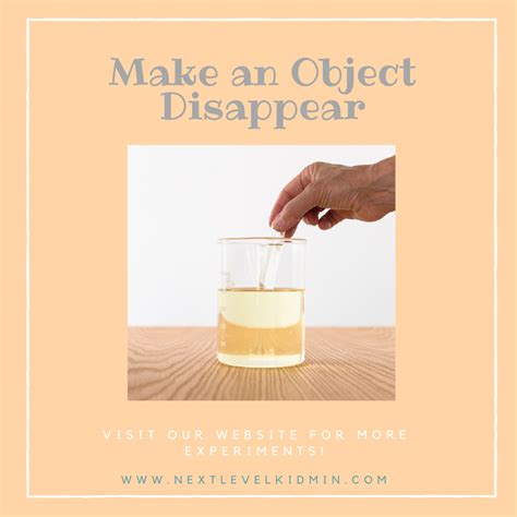 Make Objects Disappear