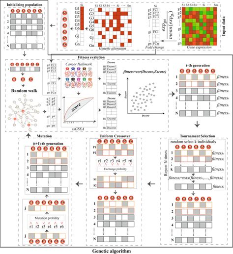 Identifying The Personalized Driver Gene Sets Maximally Contributing To