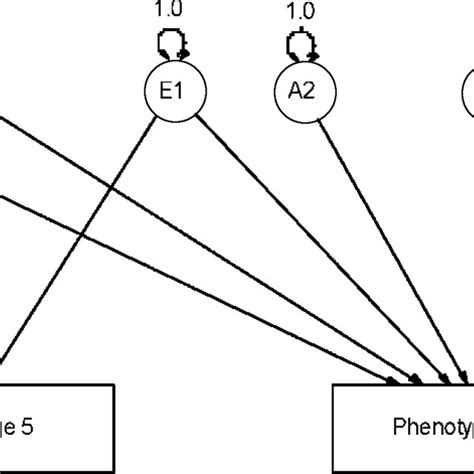 The Bivariate Longitudinal Model Represented For One Individual Note Download Scientific