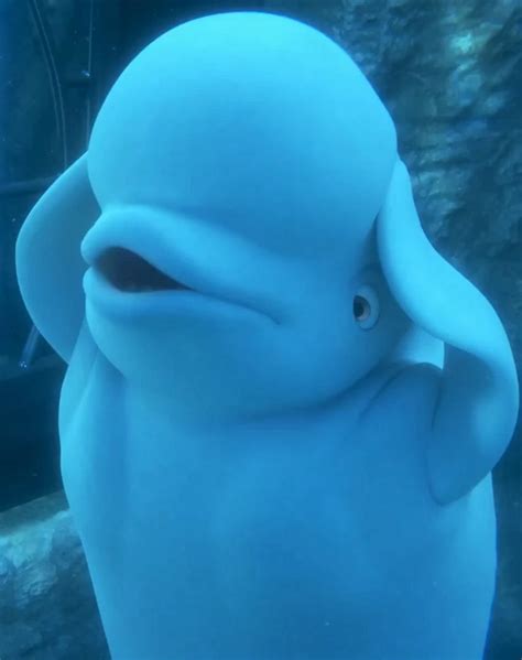 Bailey The Beluga Whale Disney Infinity Wiki Fandom Powered By Wikia