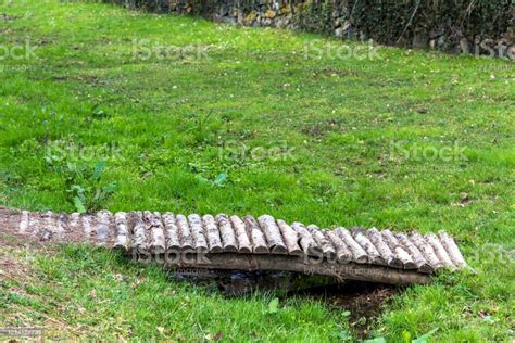 Handmade Wooden Arched Old Small Bridge On Grass In Botanical Garden