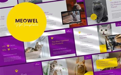 Meowel Modello Di Presentazione Powerpoint