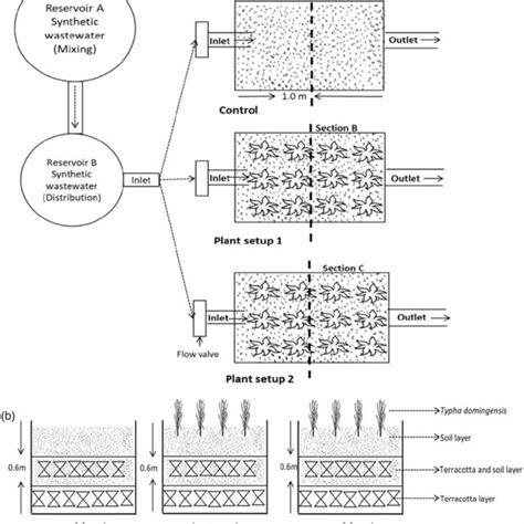 A Flow Diagram Of The Lab Setups B Cross Section View Of The Setups Download