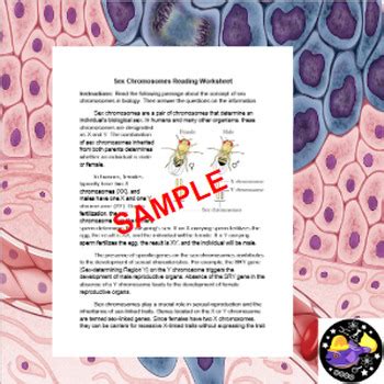 Sex Chromosomes Reading Worksheet Editable By Rod S Ecosystem Lab