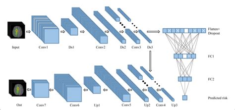 Figure Network Structure Combining Dae And Cox Conv Convolutional Download Scientific Diagram