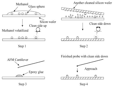 The Preparation Principle Of Colloidal Probe Download Scientific Diagram