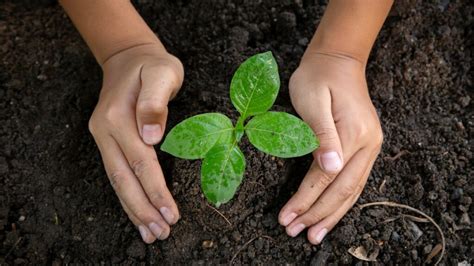 Testing Services Itene Compostability