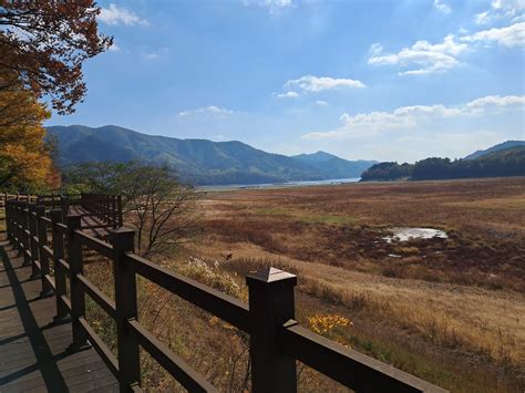 창대농원 동거 식물이 주는 즐거움 씨앗이 부풀고 새싹이 돋아나는 모습 아주 미묘한 변화이지만 마음을 울리죠 식물의 생명력을 느끼며 자연과 교감해 보세요 어느새