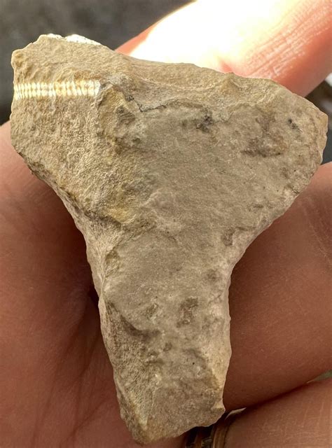 Fossil Identification Rfossilid