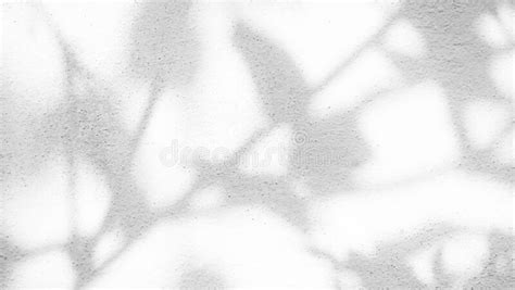 Shadow Spring On Wall Backgroundabstract Shady Soft Exterior Leaves
