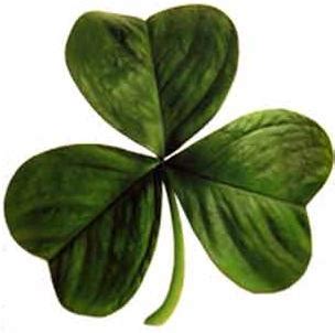 St Patricks Day Norwegian Irish Society