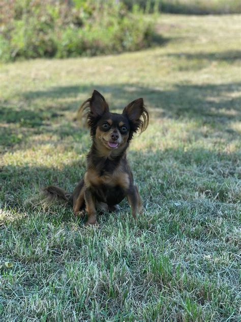 Cuteimxgirls Photos Download The Best Free Cuteimxgirls Stock