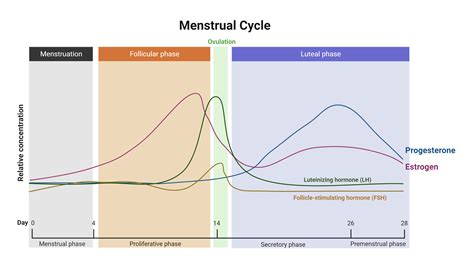 Theblood Revolutionizing The Gender Data Gap