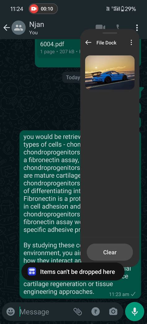 File Dock Issue Roneplus12