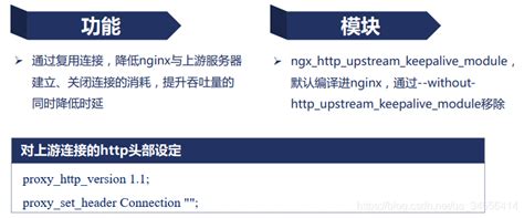 Nginx Upstreamkeepalivemodule 优化后端连接keepalive 256 Csdn博客