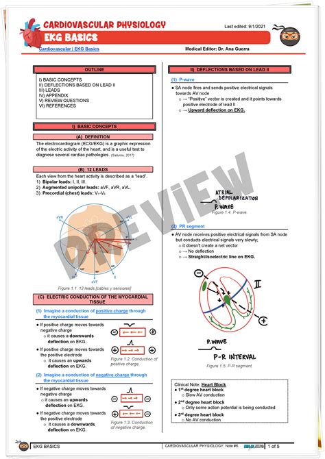 Cardiovascular Ekg Basics Notes Ninjanerd Medicine