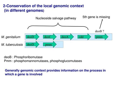Ppt Theoretical Methods For Predicting Gene Function Iii Predicting Protein Function