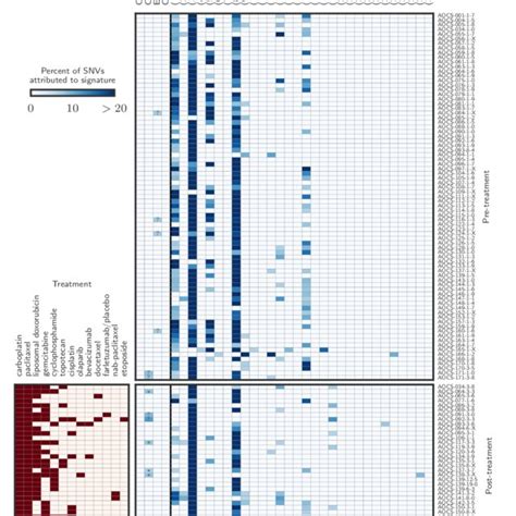 Figure S3 Detected Mutational Signatures Across All Samples The