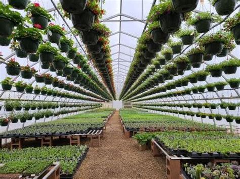 Bobolink Nursery Menomonie Wi 54751 Bobolink Nursery Menomonie Wi 54751