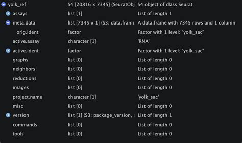 CreateSeuratObject Function For ScRNA Seq Data Doesn T Give The NCount RNA NFeature RNA In The