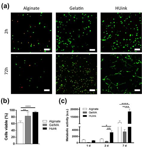Biocompatibility And Metabolic Activity After Bioprinting Using Hascs Download Scientific