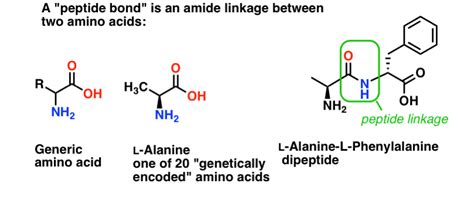 Groupes Protecteurs Pour Les Amines Carbamates Master Chimie