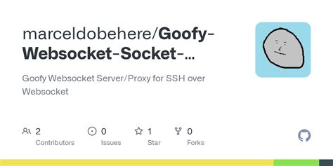 GitHub Marceldobehere Goofy Websocket Socket Bridge Goofy Websocket Server Proxy For SSH Over