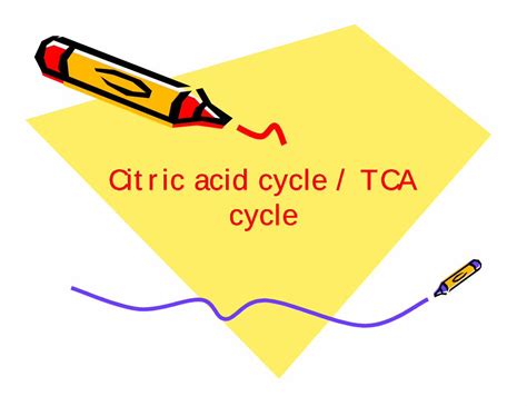 Pdf Citric Acid Cycle Tca Cycle Dokumentips