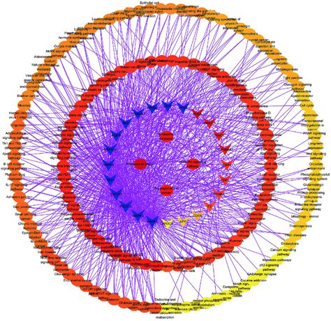 Target Signal Pathway The Circular Node Represents The Signal Pathway