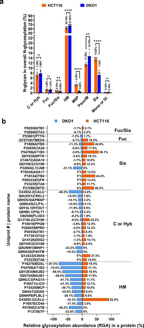 Comparative Analysis Of N Glycosylation At The Cell Level And The