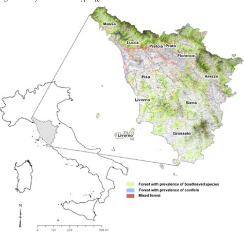 Figure 2 From Quantification Of The Total Economic Value Of Forest Systems Spatial Analysis