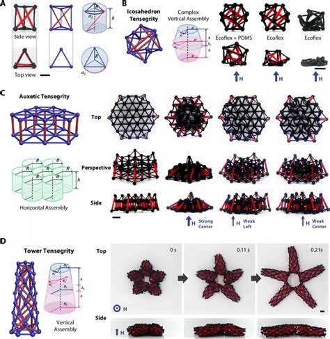 Various Magnetic Actuation Of Tensegrity Structures A Triangular Download Scientific Diagram