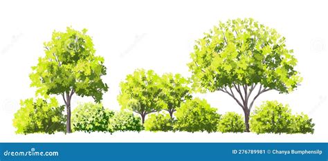 Green Tree Forest With Grass Elevation For Landscape Scene Stock Vector Illustration Of