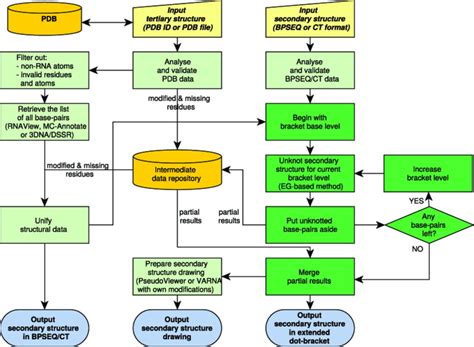 RNApdbee Workflow Scheme Download Scientific Diagram