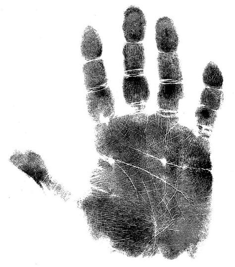 Free Hand Info Earth School