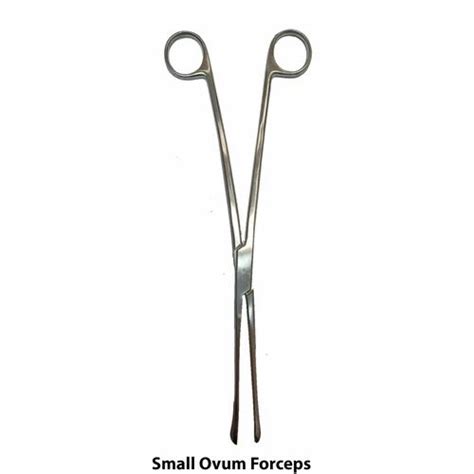 Ss Polsihed Small Ovum Forceps Sizedimension 6inch Length At Rs