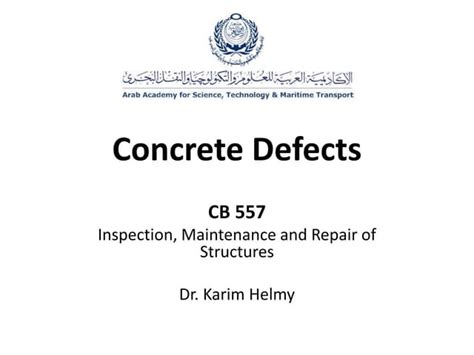 Concrete Defects Pdf