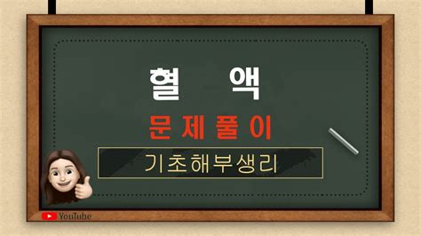 해부생리 문제풀이 혈액 혈액응고과정 설명 Youtube